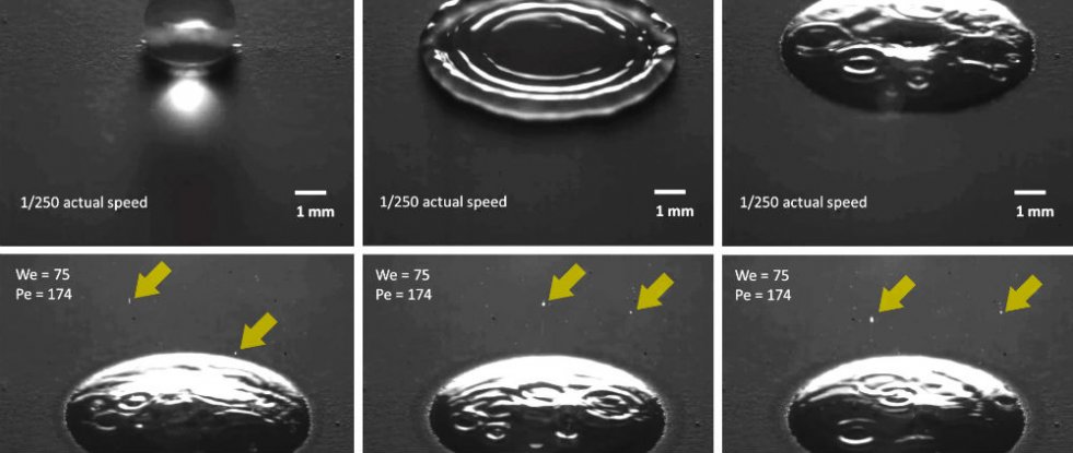 WATCH: Raindrops Release Aerosols on Impact : ScienceAlert