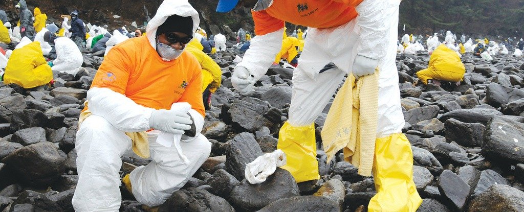 Cleaning Oil Spills With Bacteria