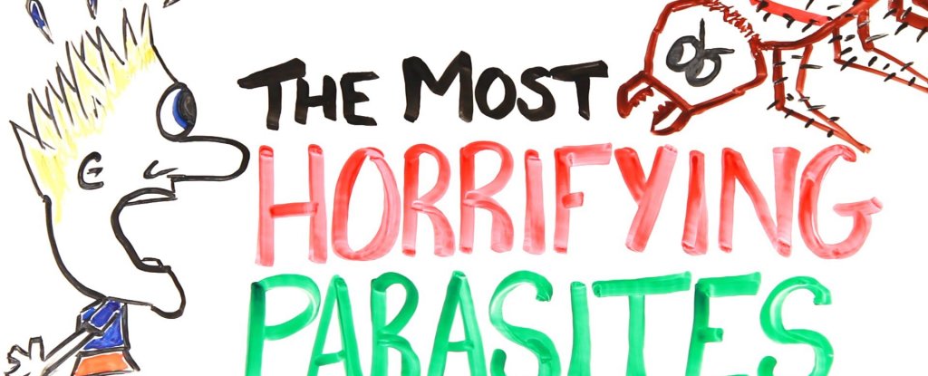 WATCH: These Are The Most Horrifying Parasites Ever : ScienceAlert