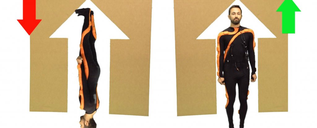 WATCH: This Is How Quantum Entanglement Really Works : ScienceAlert