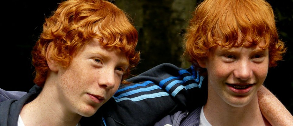 Identical Twin Study Shows Regular Exercise Boosts Grey Matter ...