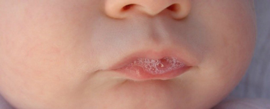 Scientists Are Trying to Turn Spit Into an Alternative to Morphine ...