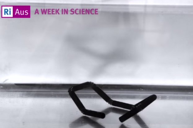 WATCH: 4D Printing Creates Structures That Self-Assemble : ScienceAlert