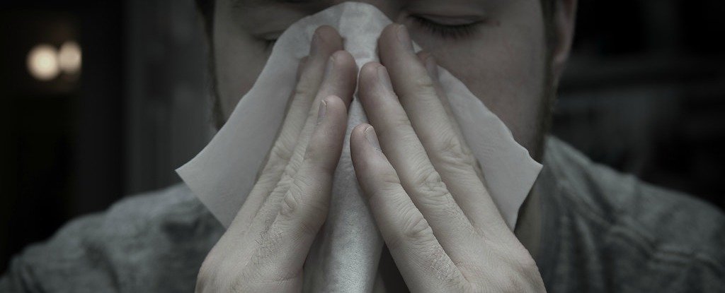 Why Do People Sneeze in a Series of Three? : ScienceAlert