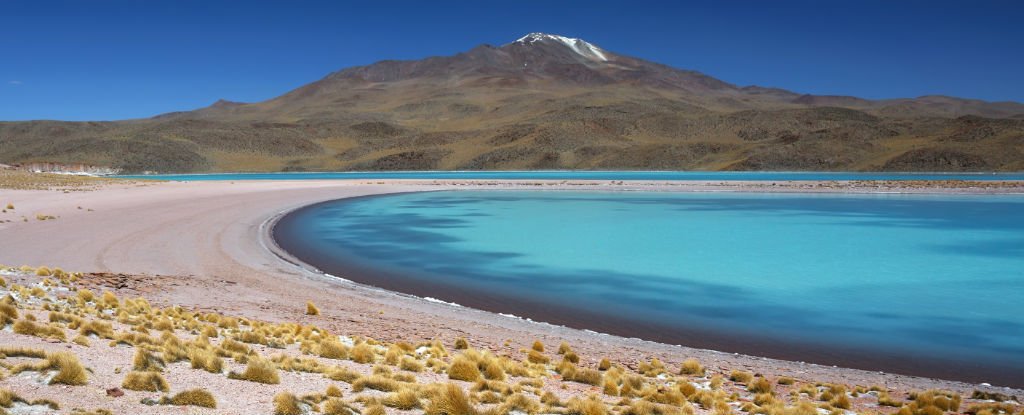 Scientists Have Found a Massive Dome Growing on Top of The World's ...