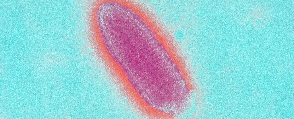 Viruses ARE Alive, And They're Older Than Modern Cells, New Study ...
