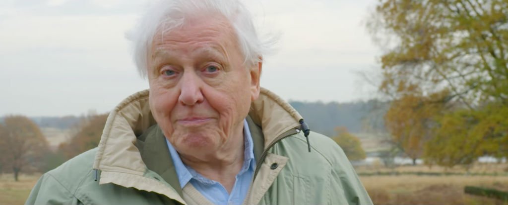 Sir David Attenborough Has Admitted He's "Coming to Terms" With Memory Loss : ScienceAlert