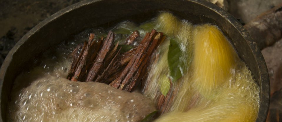 Psychedelic Tea Could Help Treat Depression : ScienceAlert