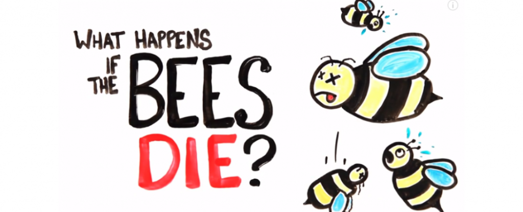 WATCH: What Happens When All The Bees Die? : ScienceAlert