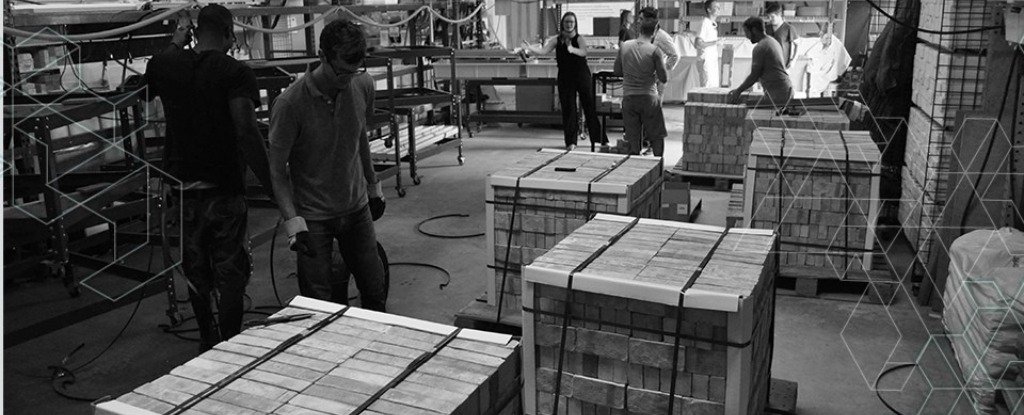 This Company Is Growing Bricks That Fight Climate Change : ScienceAlert