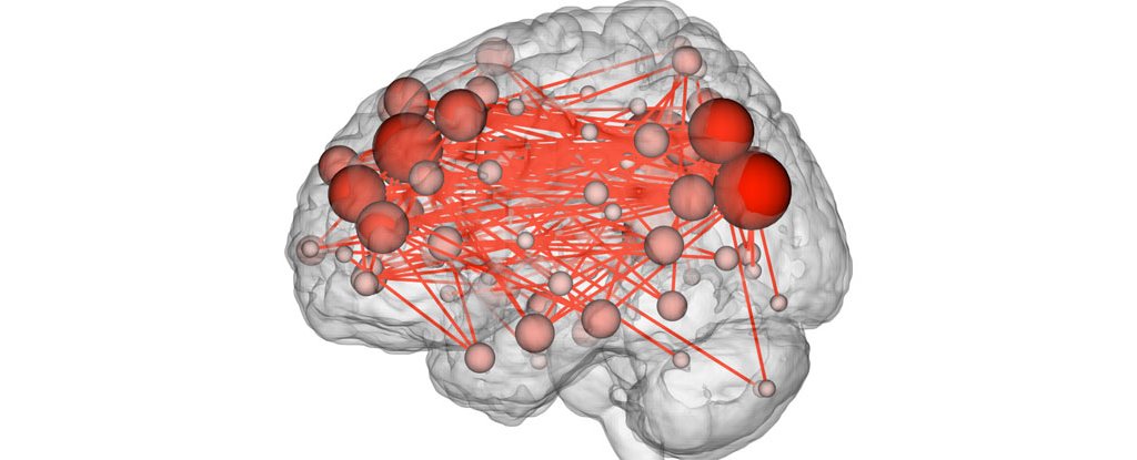 Brain Activity Is as Unique as Fingerprints, And Correlates to ...