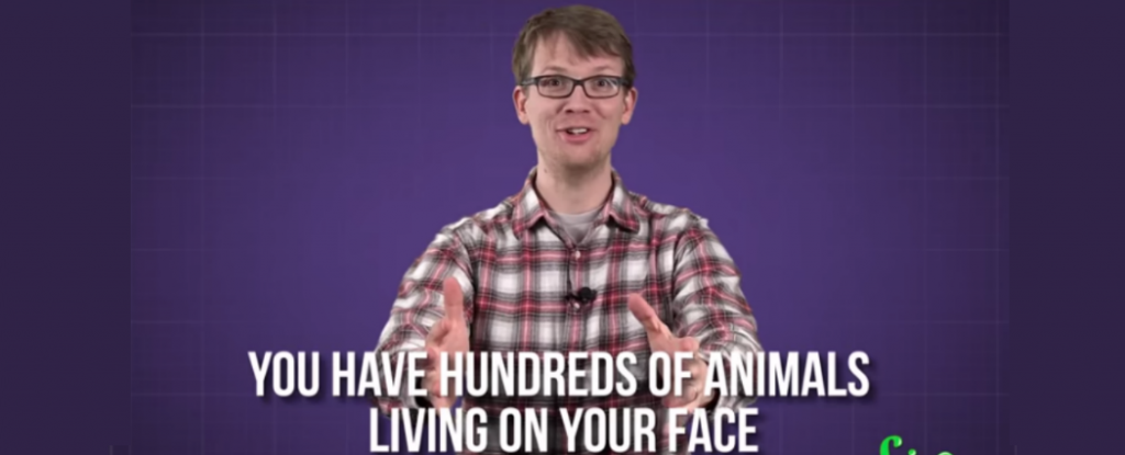 WATCH: These Are The Parasites That Live on Your Face : ScienceAlert