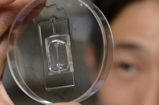 New Device Gives Unprecedented, Real-Time View of How Cancer Cells ...
