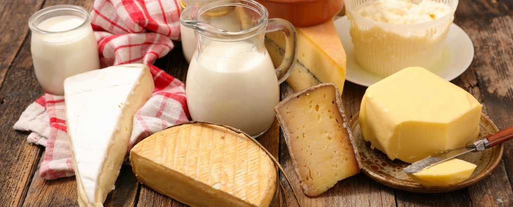 Do Humans Actually Need Milk And Dairy Products in Adulthood ...