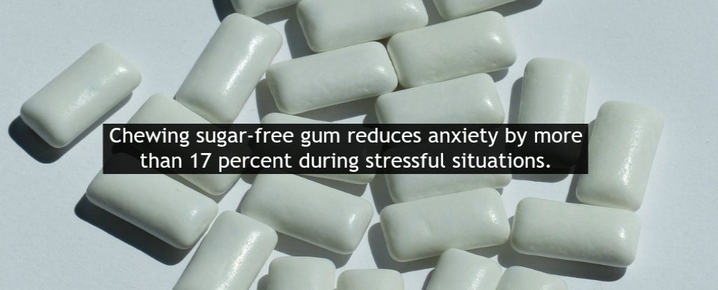 5 Cool Things Australian Researchers Have Discovered : ScienceAlert