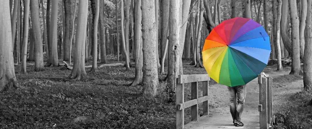 Researchers Solve The Mystery of How Humans Evolved Colour Vision ...