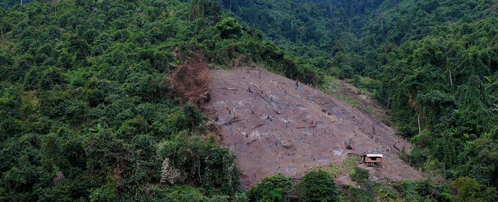 Humans Have Destroyed 10% of Earth's Wilderness in Just 25 Years ...