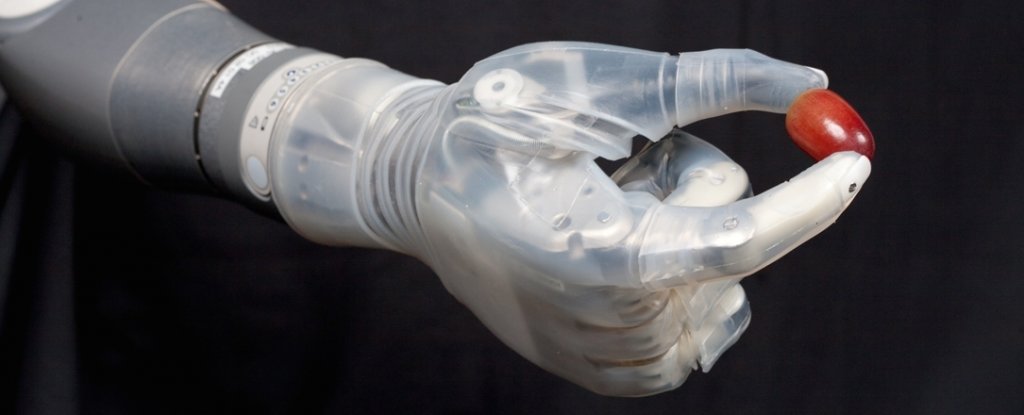 WATCH: Prosthetic Arm Helps Army Veteran Rock Climb : ScienceAlert