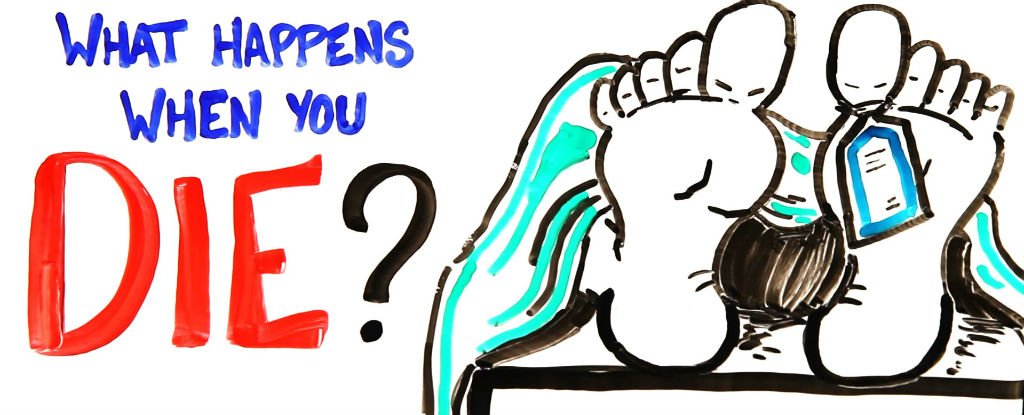 WATCH: This Is Exactly What Happens When You Die : ScienceAlert WATCH: This Is Exactly What Happens When You Die : ScienceAlert