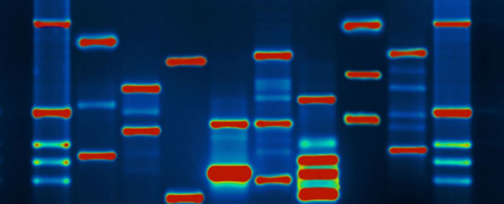 Nobel Prize in Chemistry Awarded For Work on Natural DNA Repair ...