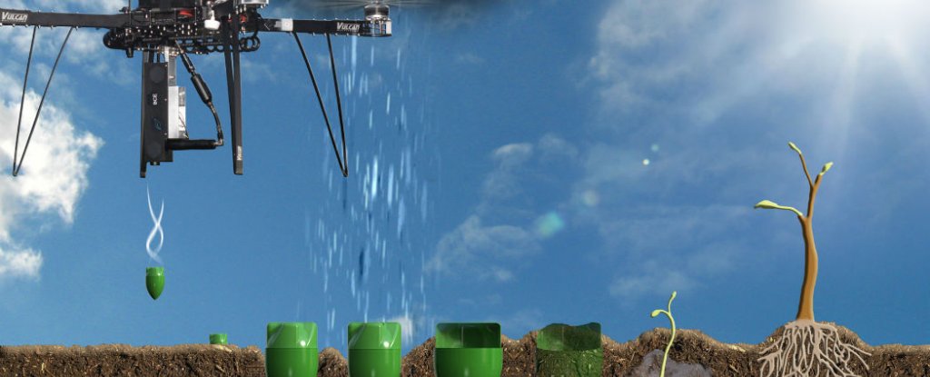 New Project Plans to Plant One Billion Trees a Year Using Drone ...