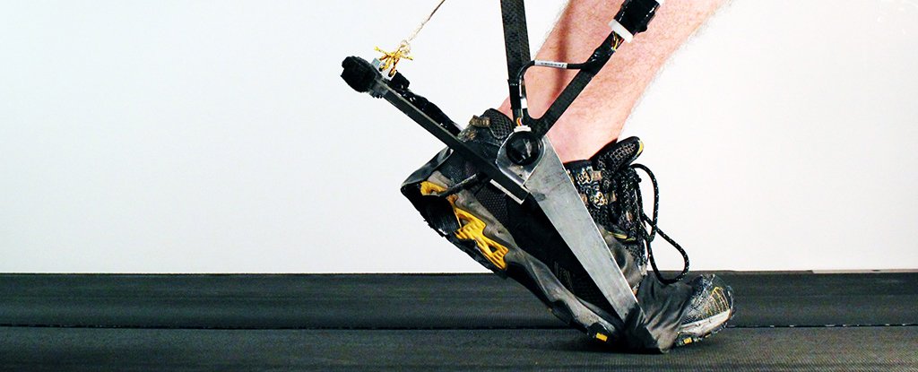 These Robot Exoskeletons Can Adjust to The Way You Walk : ScienceAlert