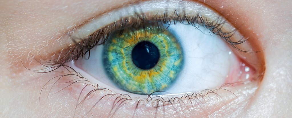 For Those With Autism Eye Contact Isn t Just Weird It s Distressing For Those With Autism Eye Contact Isn t Just Weird It s Distressing