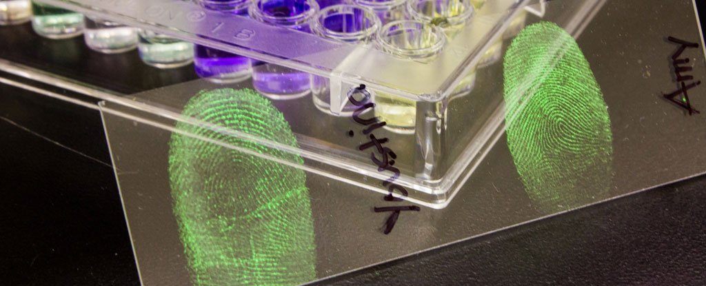 Your Fingerprints Are About to Reveal So Much More About You : ScienceAlert
