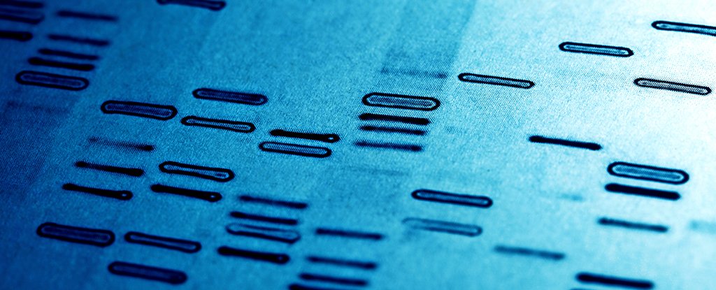 The FDA Just Made History: You Can Now Have Your Genes Screened For 10 ...