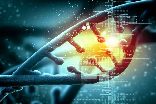 Newly Explored Regions of The Human Genome Reveal Fundamental Processes ...