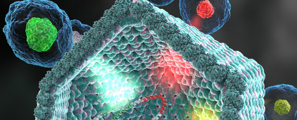 Discovery of Giant Viruses Adds an Unexpected Twist to The Debate: Are ...