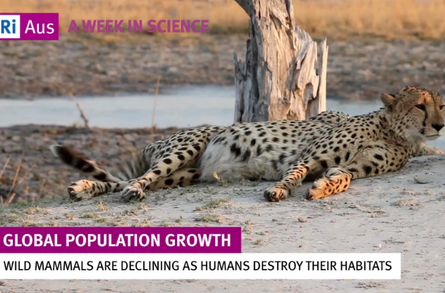 WATCH: Which Organism Rules The Earth? : ScienceAlert