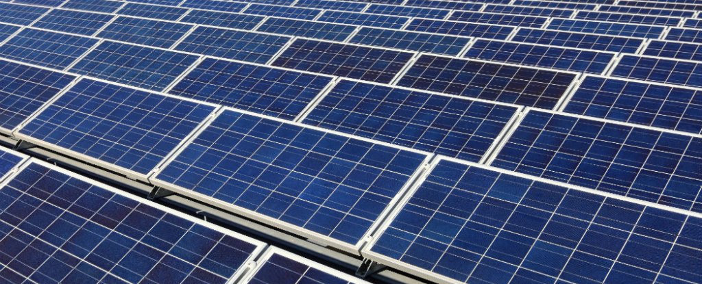 This New 'Green' Antenna Could Double Solar Panel Efficiency : ScienceAlert