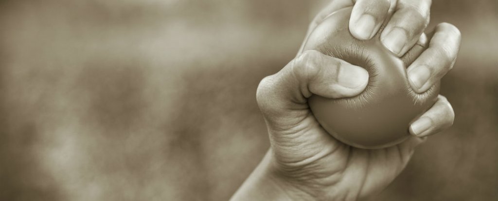 Handgrip Strength Offers Cheap, Simple Way to Predict Heart Attack And ...