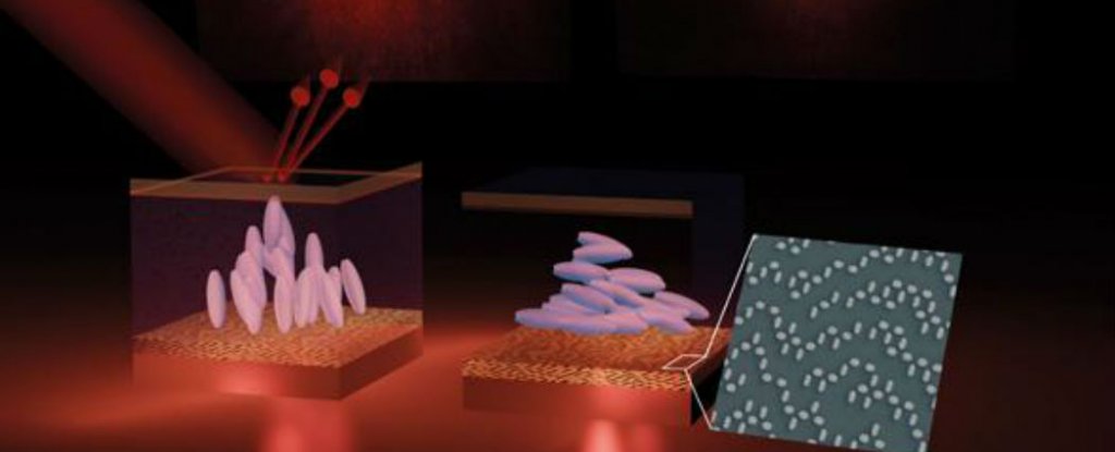 This New Type of Display Could Finally Give Us Real-Time Holograms ...