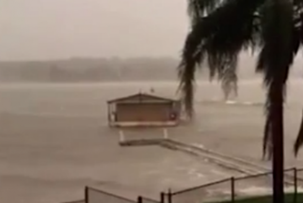 Sydney's Gale-Force Winds Meet Tropical Cyclone Criteria, Experts Say ...