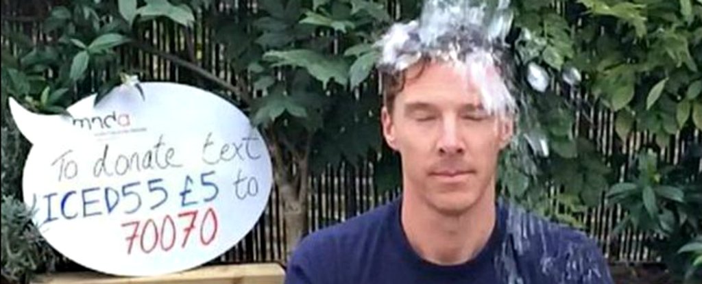 Here's What That Ice Bucket Breakthrough Is All About : ScienceAlert