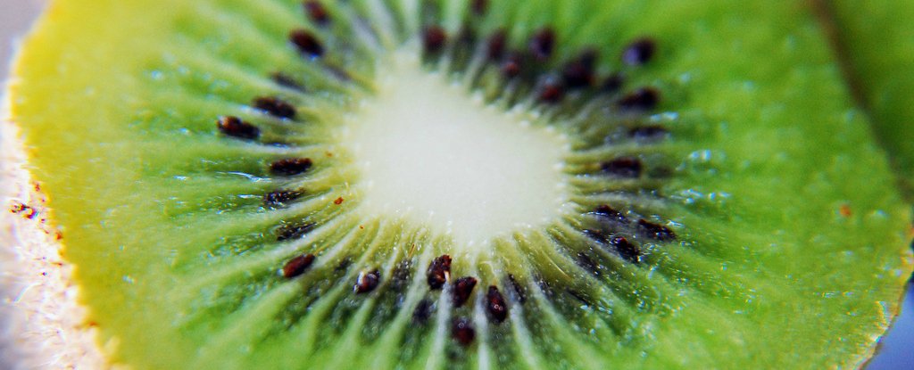A Patient Has 'Caught' a Kiwi Fruit Allergy From a Bone Marrow ...
