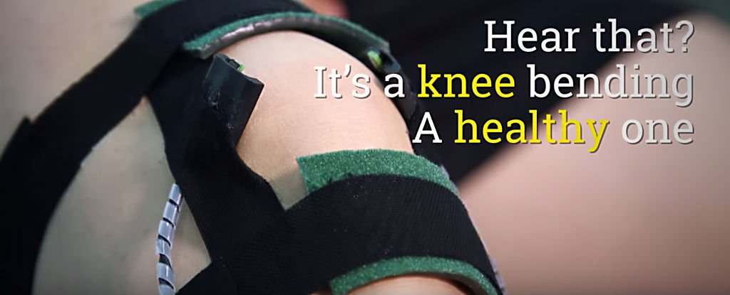 The Sound of a Knee Cracking Amplified Is The Actual Worst Sound Ever ...