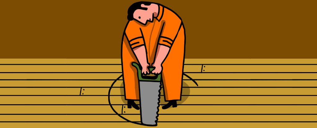 New Study Reveals... Men Are Idiots : ScienceAlert