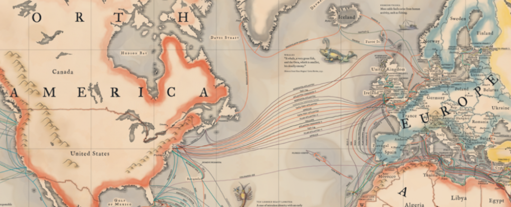 Beautiful Map Shows The Mind-Boggling Extent of Our Underwater Internet ...