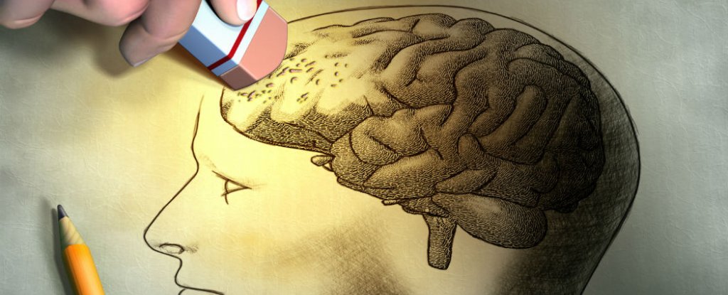Researchers Show How Self-Control Can Drain Your Memory Banks ...