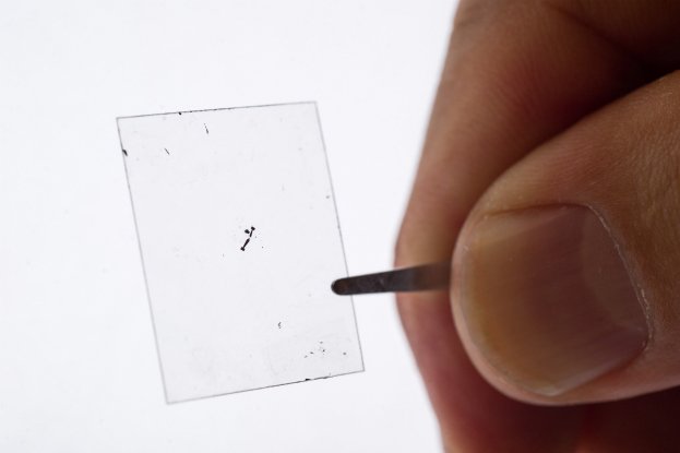Scientists Have Built The World's Thinnest Electric Generator - And It ...