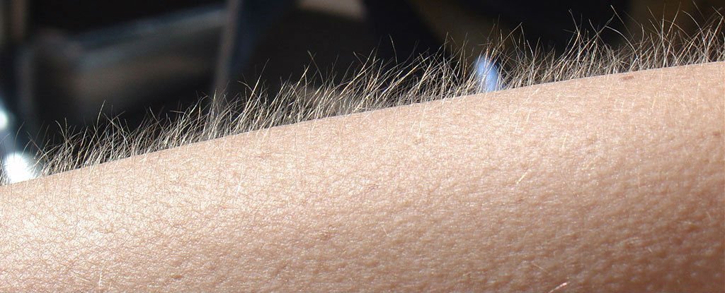 The Researcher Behind That Music 'Skin Orgasms' Study Has Answered Your ...