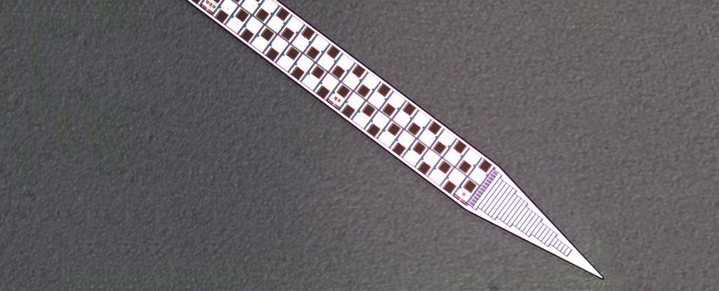 This Incredibly Tiny Probe Can Record Brain Activity Like We've Never ...
