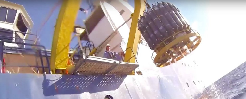 Ocean-Based Biology Lab Lets Scientists Study Sea Organisms Up Close ...