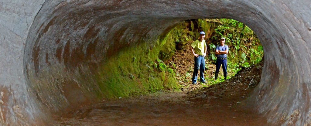 This Massive Tunnel in South America Was Dug by Ancient Mega-Sloths