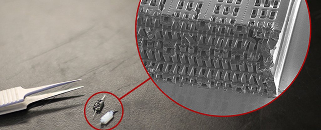 Scientists Grow a 'Person on a Chip' - Living Human Tissues on a Mini ...