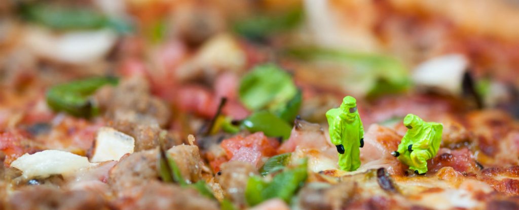 Scientists Have Figured Out Why Weed Gives You The Munchies : ScienceAlert Scientists Have Figured Out Why Weed Gives You The Munchies : ScienceAlert