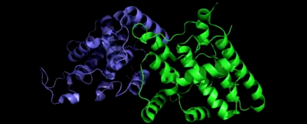 The Gatekeeper Proteins of Our Cells Have an Unexpected 'Night Job ...